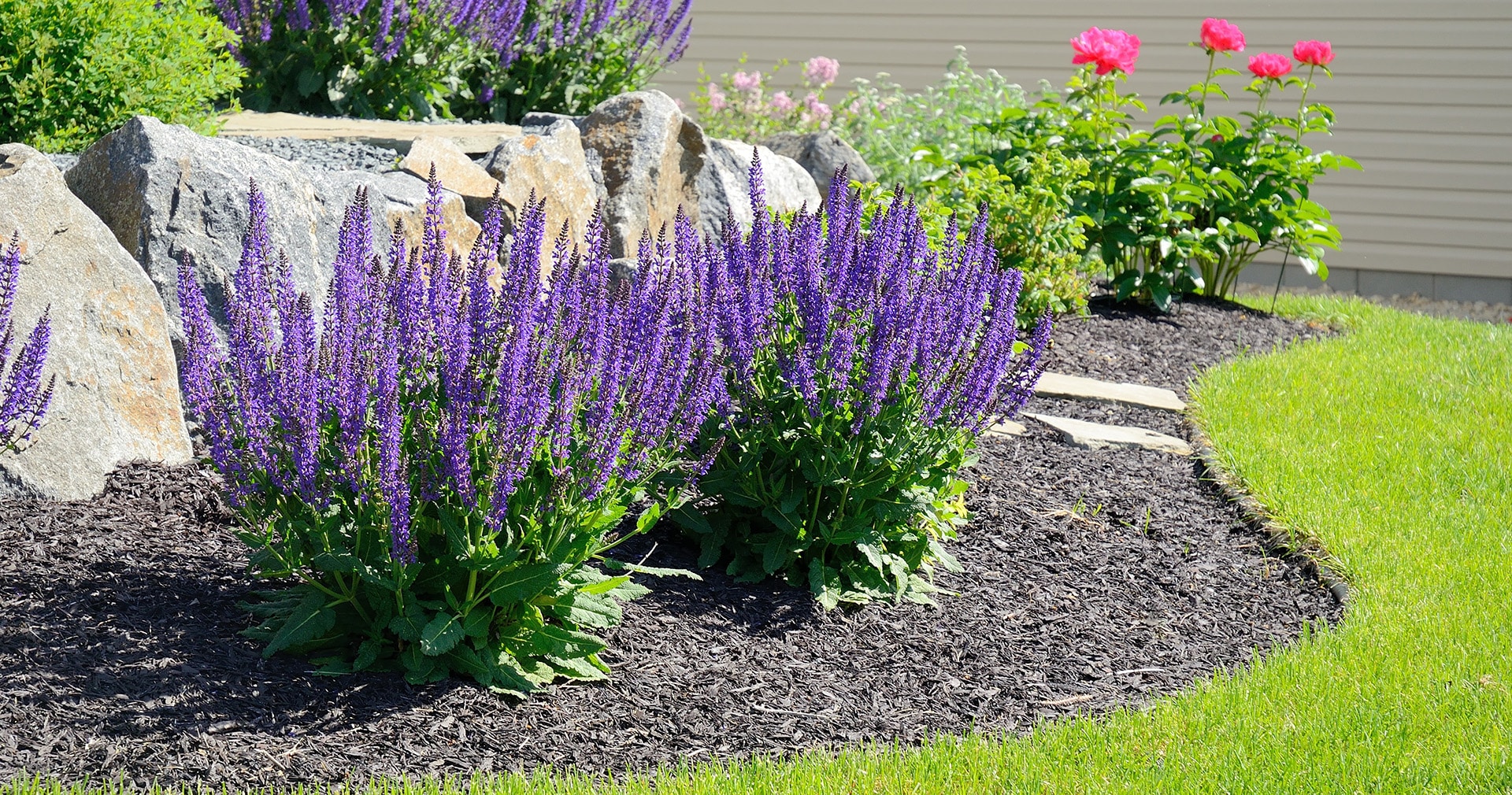 What Software Tools Do Landscape Designers Use in 2023 - DynaScape